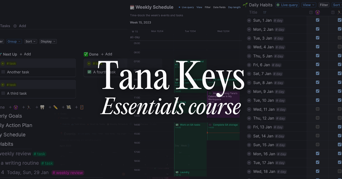 Tana Keys | Renee De Four Studio